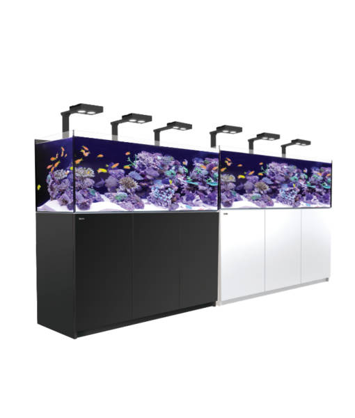Red Sea Aquarium Systems • Aqua Tropica • Köln