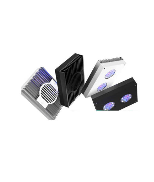 LED Beleuchtung Meerwasser • Aqua Tropica • Köln