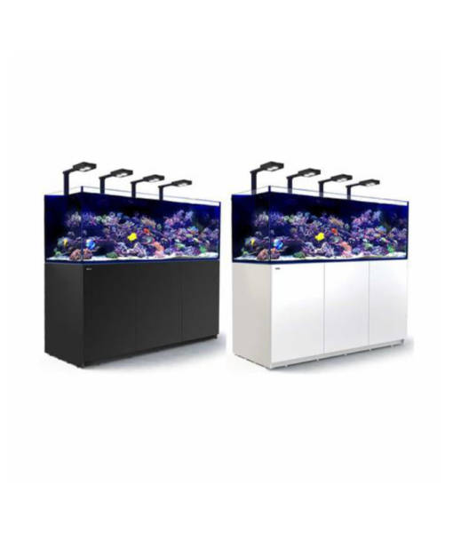 Red Sea Aquarium Systems • Aquatropica • Köln